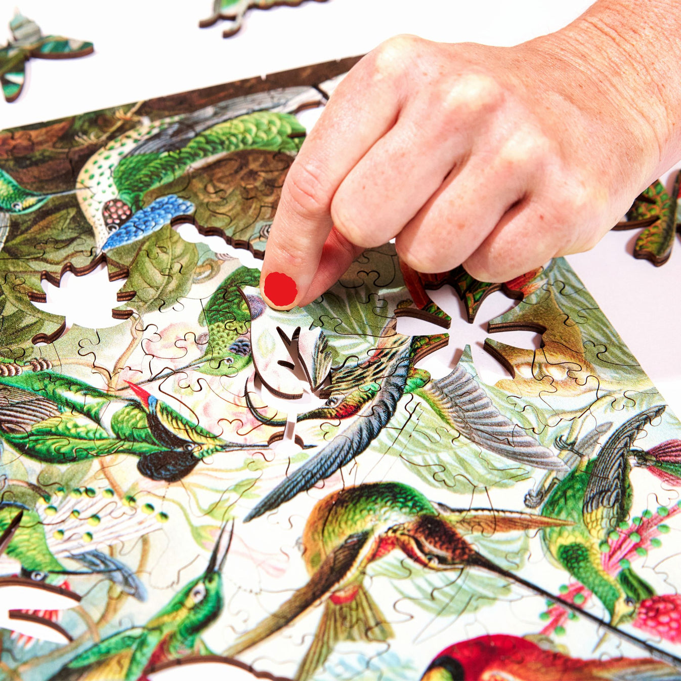 Hummingbirds - Wooden Jigsaw Puzzles - 228 Pieces - Ernst Haeckel ...