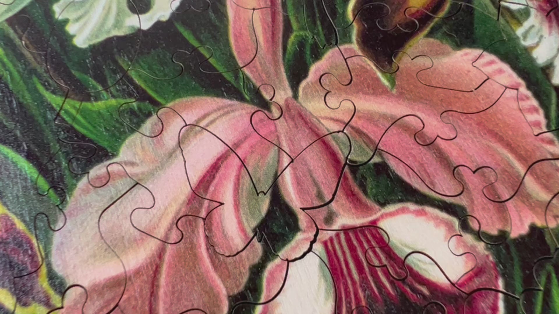 Orchid Wooden Jigsaw Puzzle | Twigg Puzzles