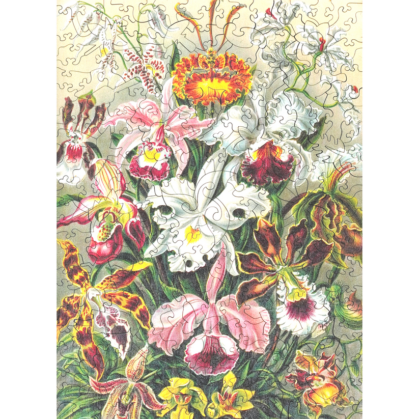 Orchid Wooden Jigsaw Puzzle | Twigg Puzzles
